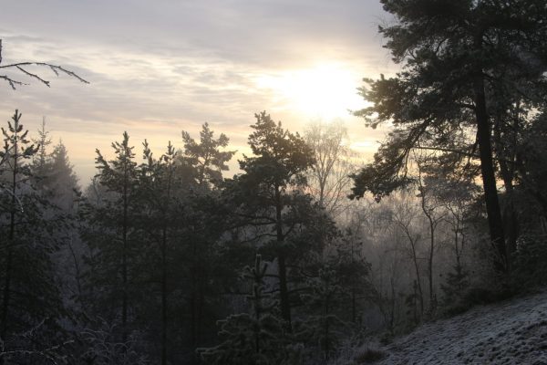 Panoramic views over Oslo from Grefsenkollen - Live & Explore